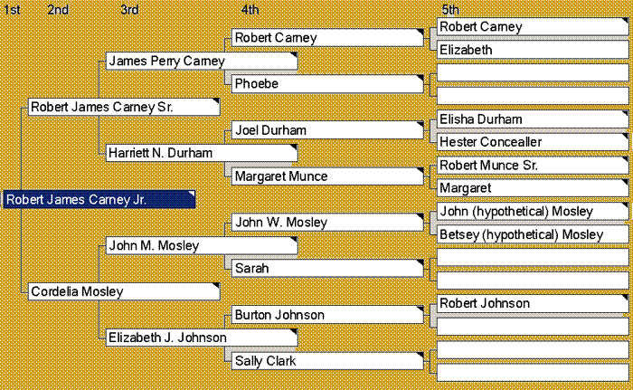 Mitsawokett: A 17th Century Native American Community in Central Delaware